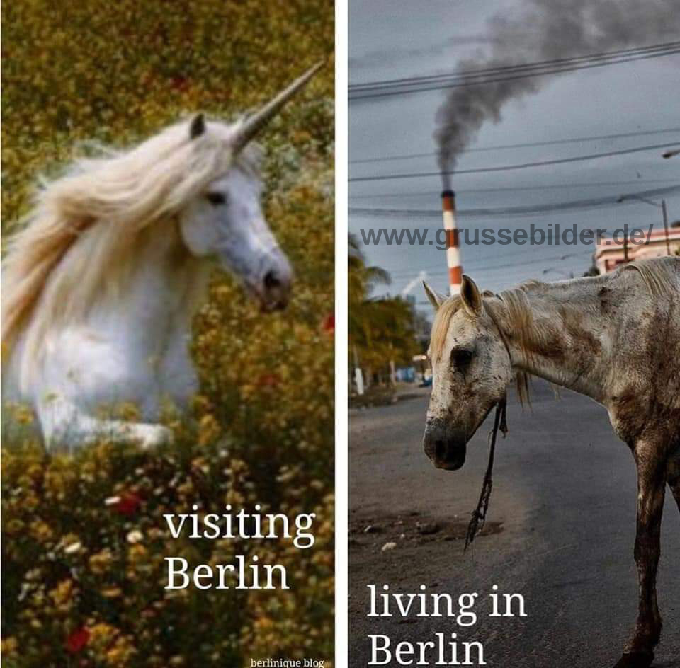 Erstaunliche Sammlung von Lustigen WhatsApp-Comics: Einzigartig ...