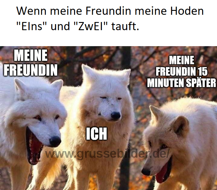 Erstaunliche Sammlung von Lustigen WhatsApp-Comics: Einzigartig ...