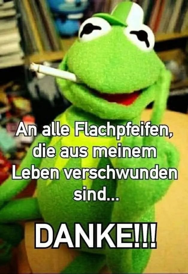 Spektakulär Lustige Bilder: Humor, der Sie zum Lachen bringt