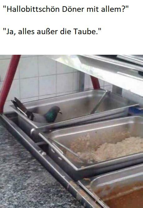 Spektakulär Lustige Bilder: Humor, der Sie zum Lachen bringt