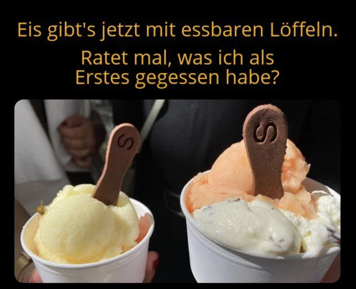 Humorvolle Highlights: Witzige Bilder, die Jeden Tag Aufheitern