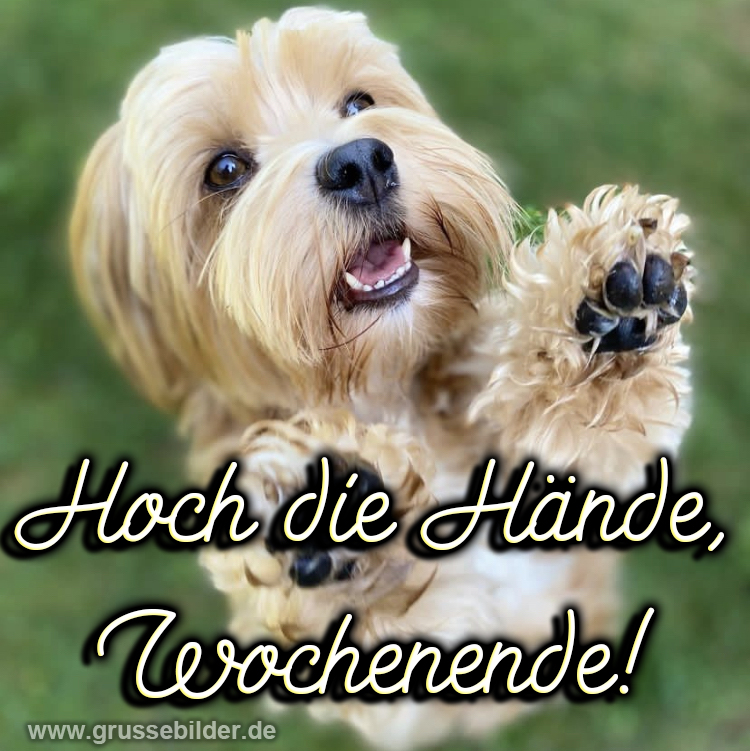 Spektakuläre 'Hoch die Hände Wochenende' Bilder - Starten Sie mit ...