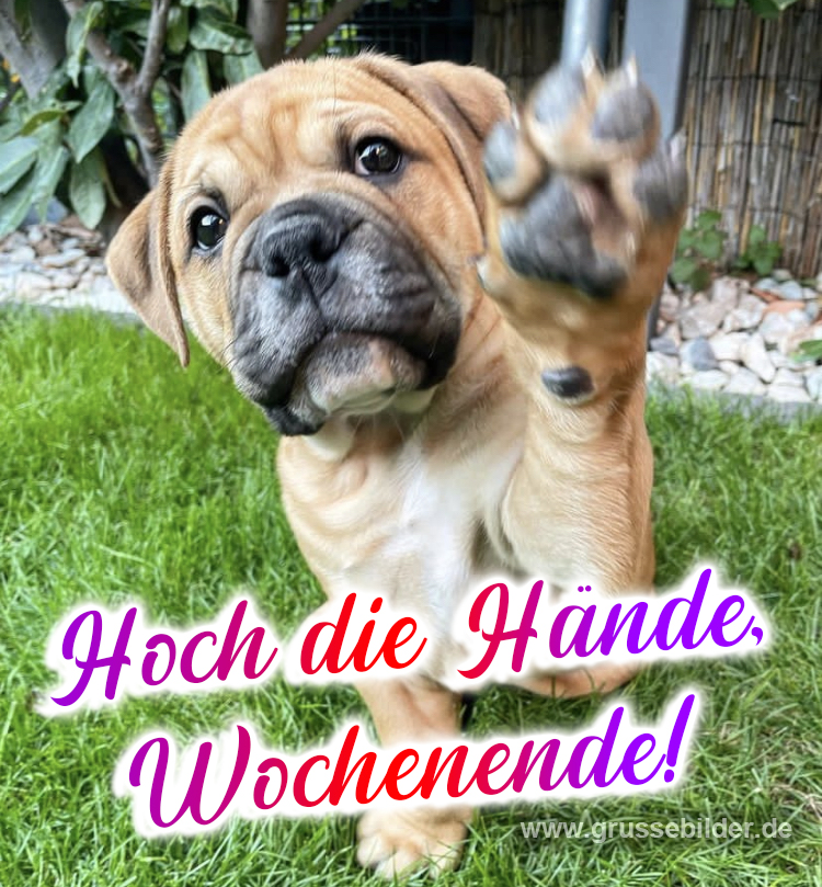 Spektakuläre 'Hoch die Hände Wochenende' Bilder - Starten Sie mit ...