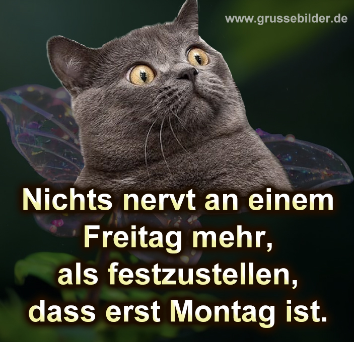 Humorvolle Schönen-Freitag-Bilder: Lachen Sie ins Wochenende!