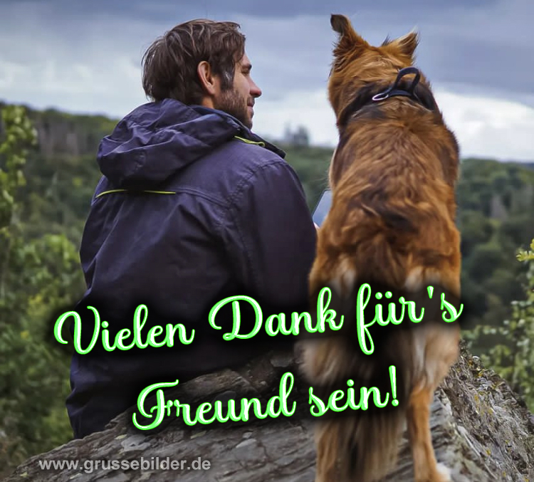 ᐅ WhatsApp Freundschaft Bilder - Grüße Bilder