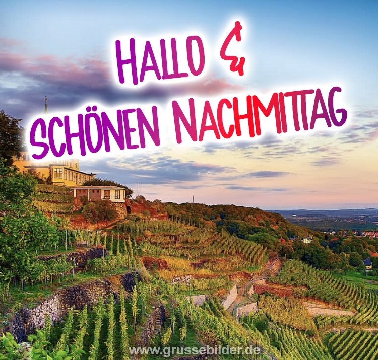 ᐅ Schönen Nachmittag Bilder Kostenlos - Grüße Bilder