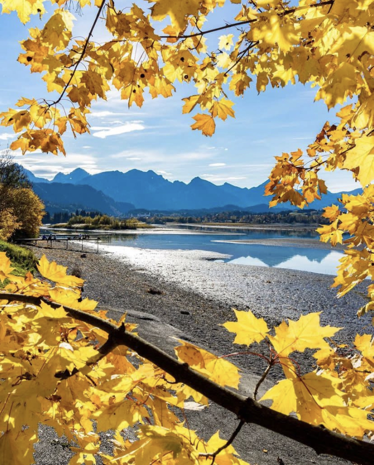 ᐅ Schöne Bilder Kostenlos für WhatsApp - Grüße Bilder