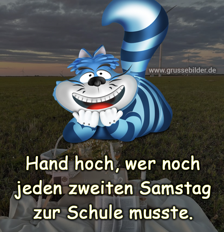 Lustige Samstagsgrüße: Perfekt, um das Wochenende mit einem Schmunzeln ...