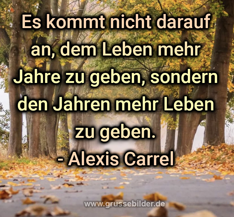 ᐅ Sprüche und Bilder Kostenlos - Grüße Bilder