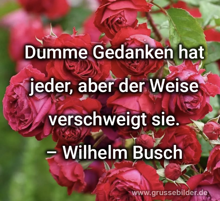 ᐅ Sprüche und Bilder Kostenlos - Grüße Bilder