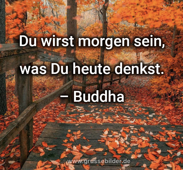 ᐅ Sprüche und Bilder Kostenlos - Grüße Bilder