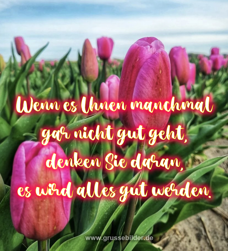 ᐅ alles wird gut bilder - Grüße Bilder