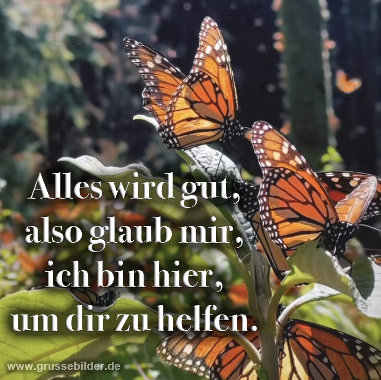 ᐅ alles wird gut bilder - Grüße Bilder
