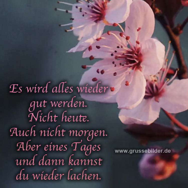 ᐅ alles wird gut bilder - Grüße Bilder