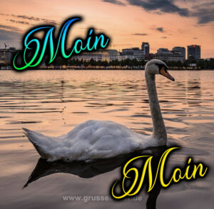 ᐅ moin moin bilder - Grüße Bilder