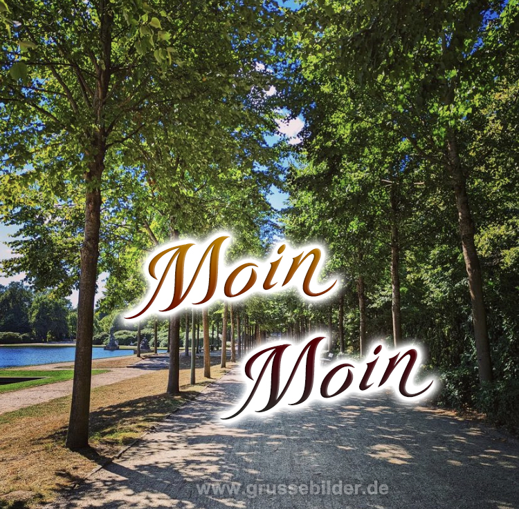 ᐅ moin moin bilder - Grüße Bilder