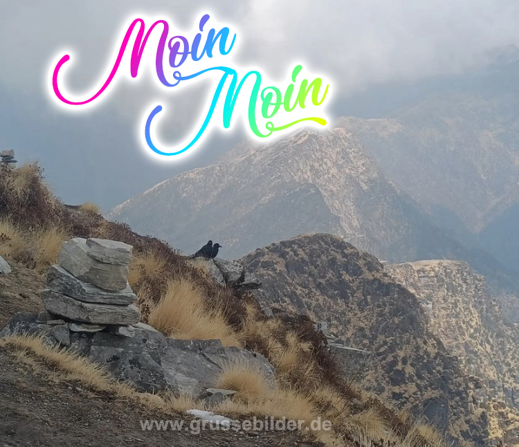 ᐅ moin moin bilder - Grüße Bilder