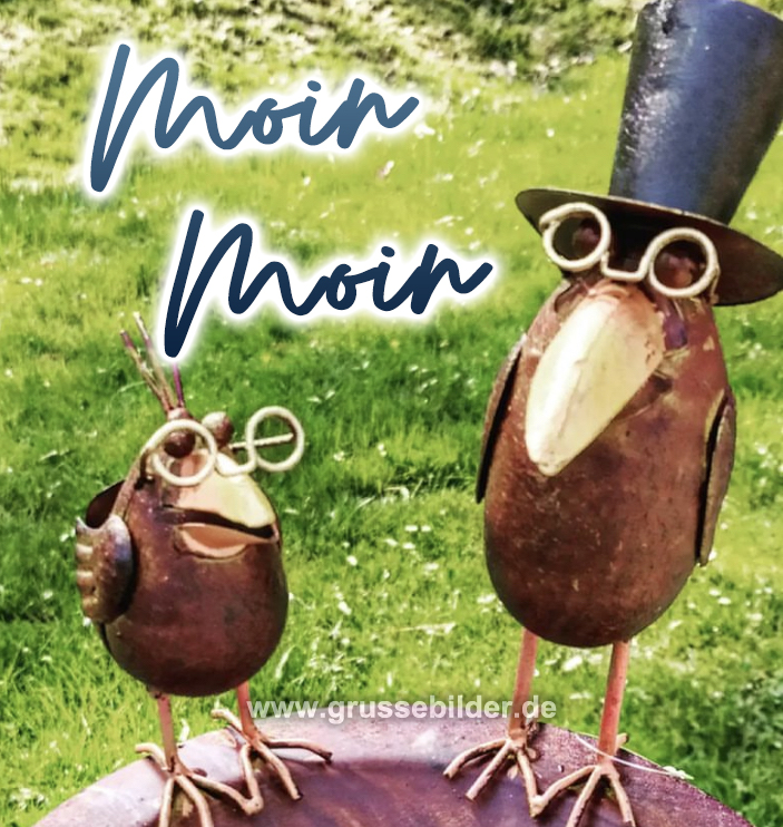 ᐅ moin moin bilder - Grüße Bilder