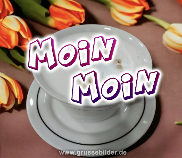 ᐅ moin moin bilder - Grüße Bilder