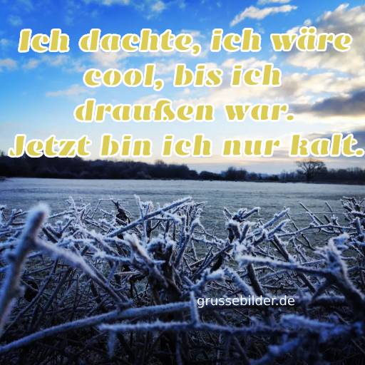 Erstaunliche Sammlung von Frostig Kalten Draußen Bildern – Humorvoll ...