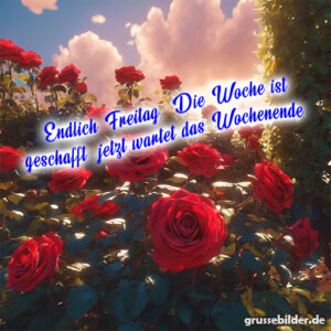 Top 100 Endlich-Freitag-Bilder: Perfekt, um das Wochenende mit ...