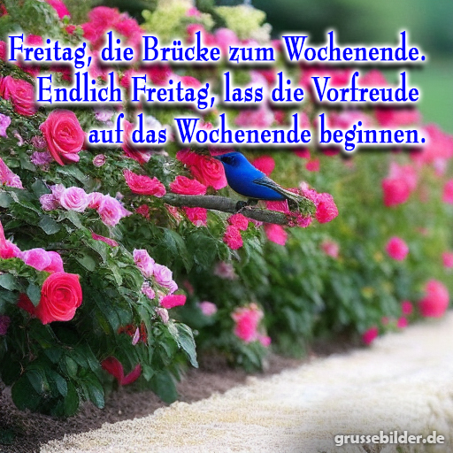 Top 100 Endlich-Freitag-Bilder: Perfekt, um das Wochenende mit ...