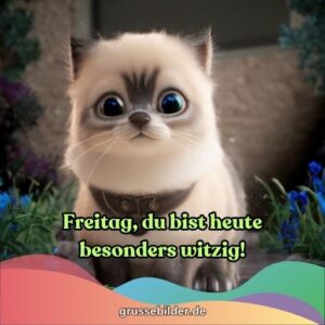 Humorvolle Schönen-Freitag-Bilder: Lachen Sie ins Wochenende!