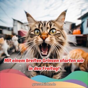 Humorvolle Schönen-Freitag-Bilder: Lachen Sie ins Wochenende!