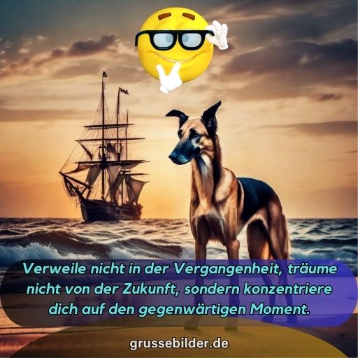 128+ ᐅ WhatsApp Status Bilder Lustig Kostenlos - Grüße Bilder