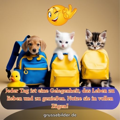 128+ ᐅ WhatsApp Status Bilder Lustig Kostenlos - Grüße Bilder